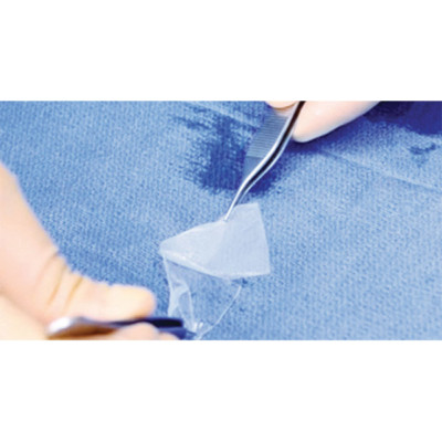 PalinGen Amniotic Membrane