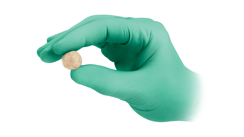 Bone Bank Allografts - bioproimplants.com