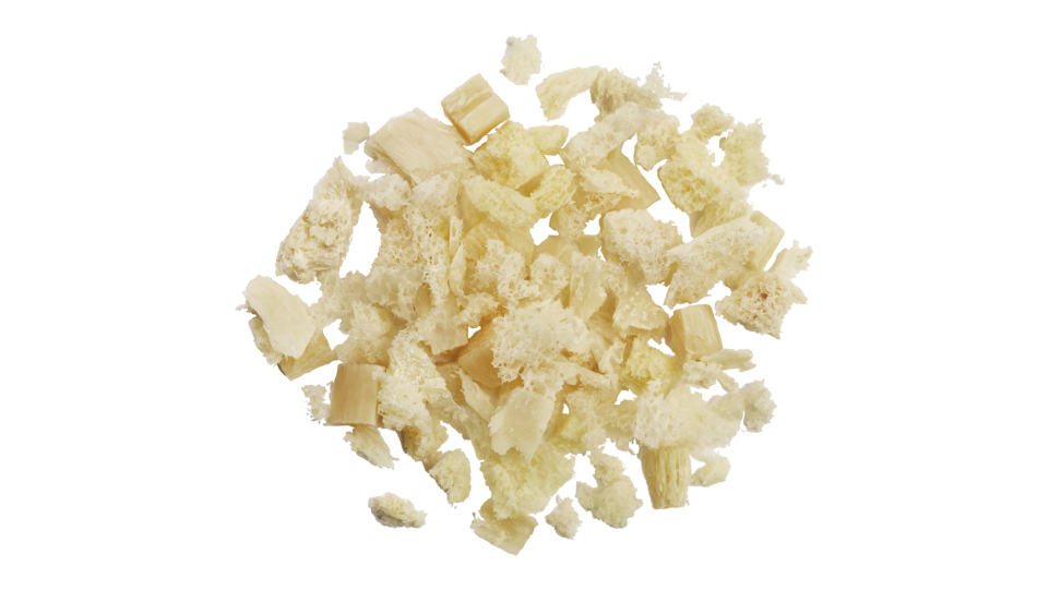 Bone Bank Allografts - bioproimplants.com